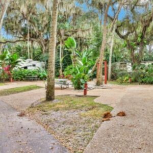 Rentals & Information - River Ranch RV Resort